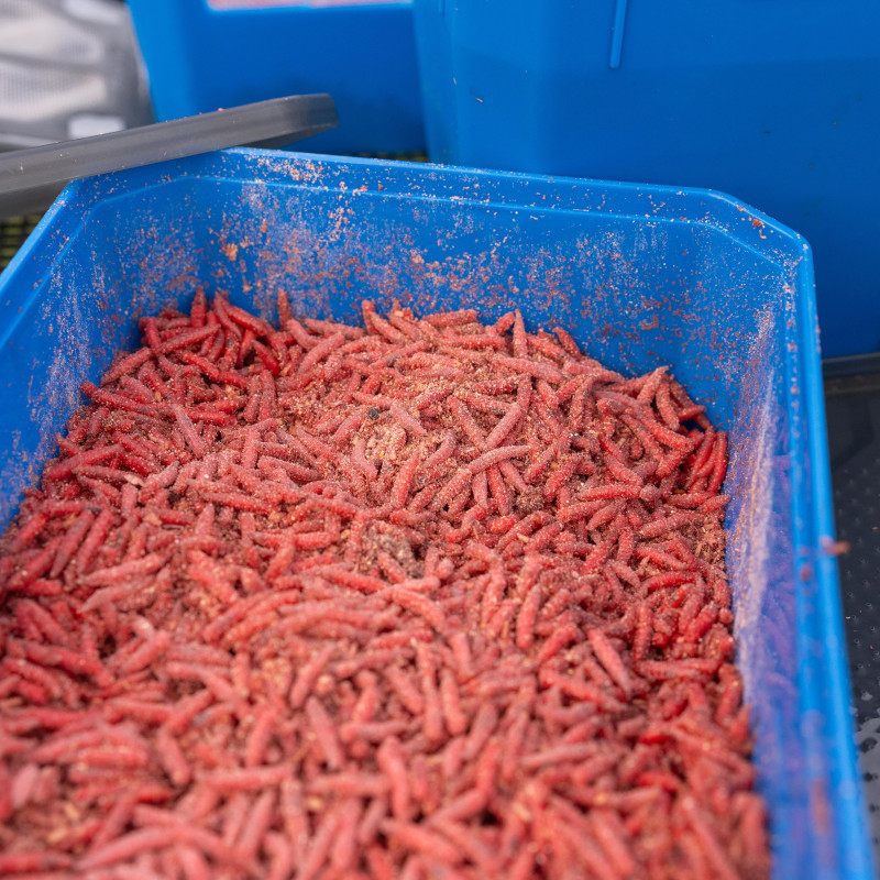 Preston Innovations Bait Tubs - £2.49