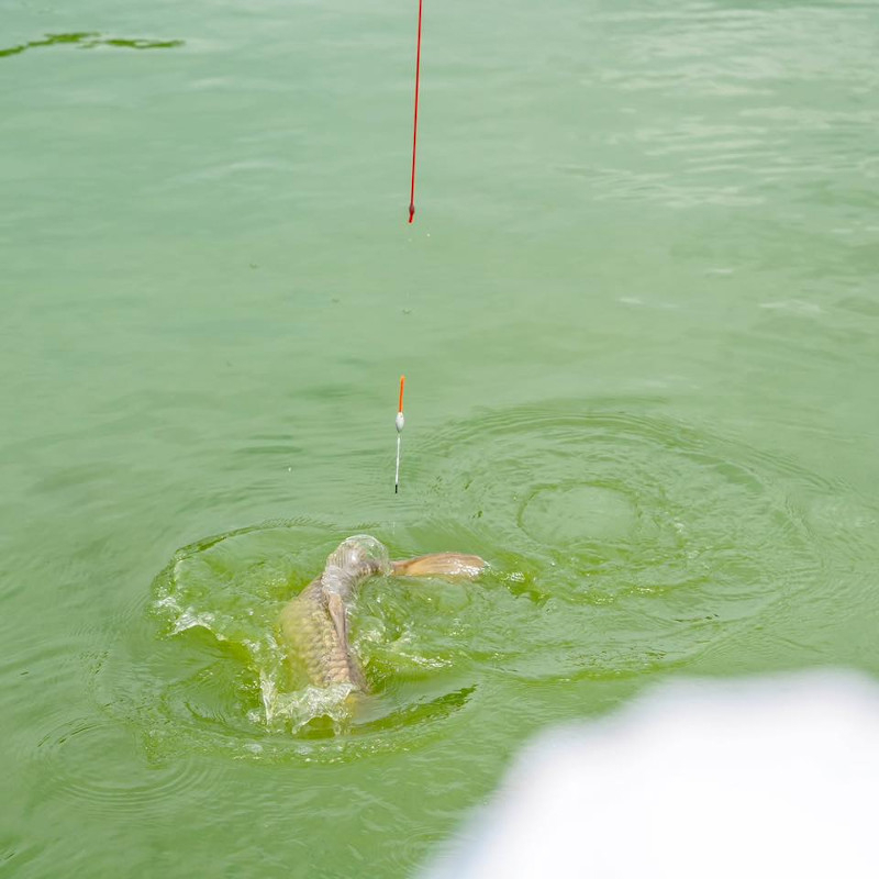 Guru Paste Pole Floats - £2.49