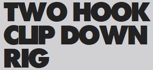 Lynx Two Hook Clip Down Rig - £2.49