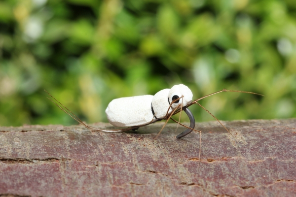 Nash Zig Bugs - Glow Bugs - £5.99