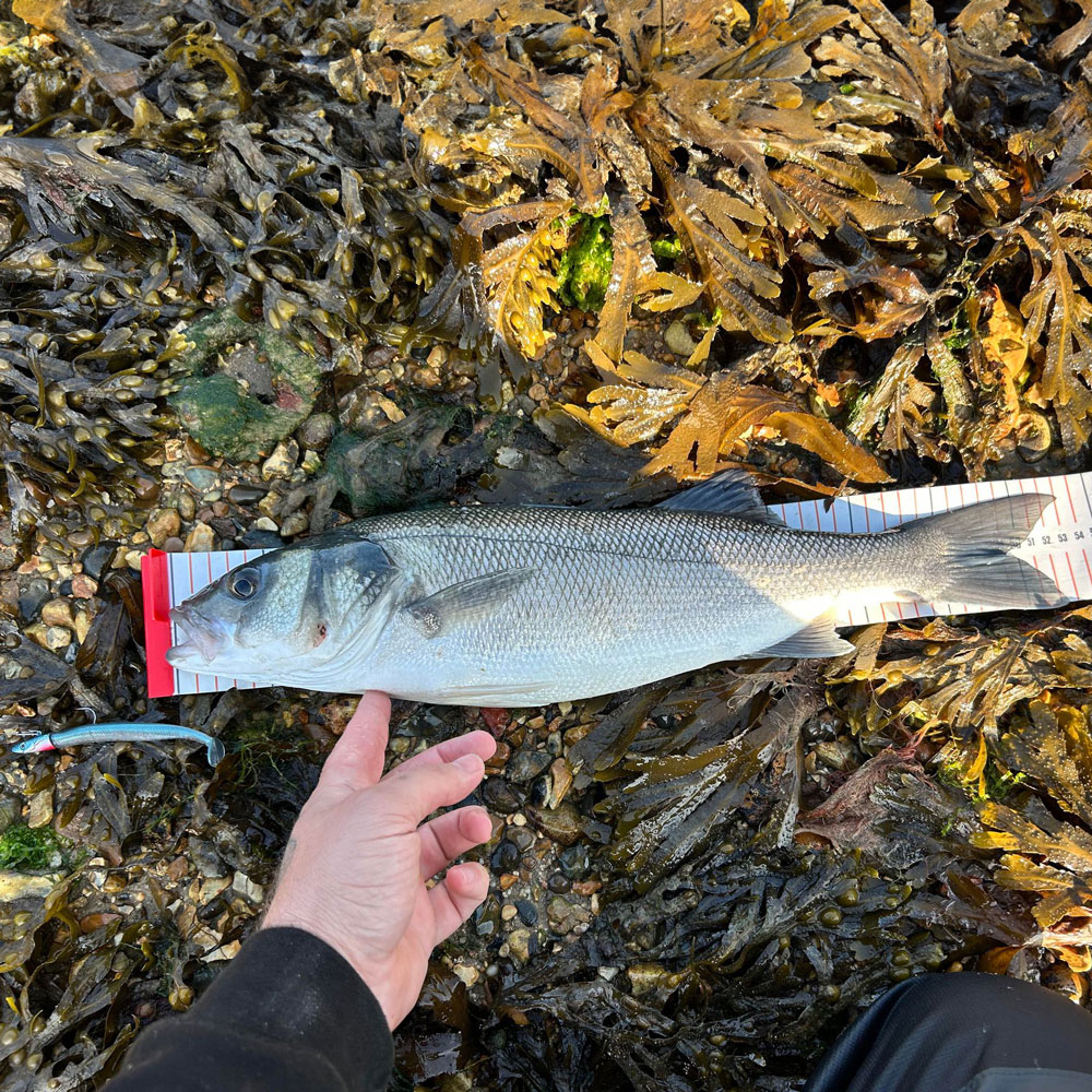 HTO Pathfinder Sandeel Lures 12cm/12g - £2.99