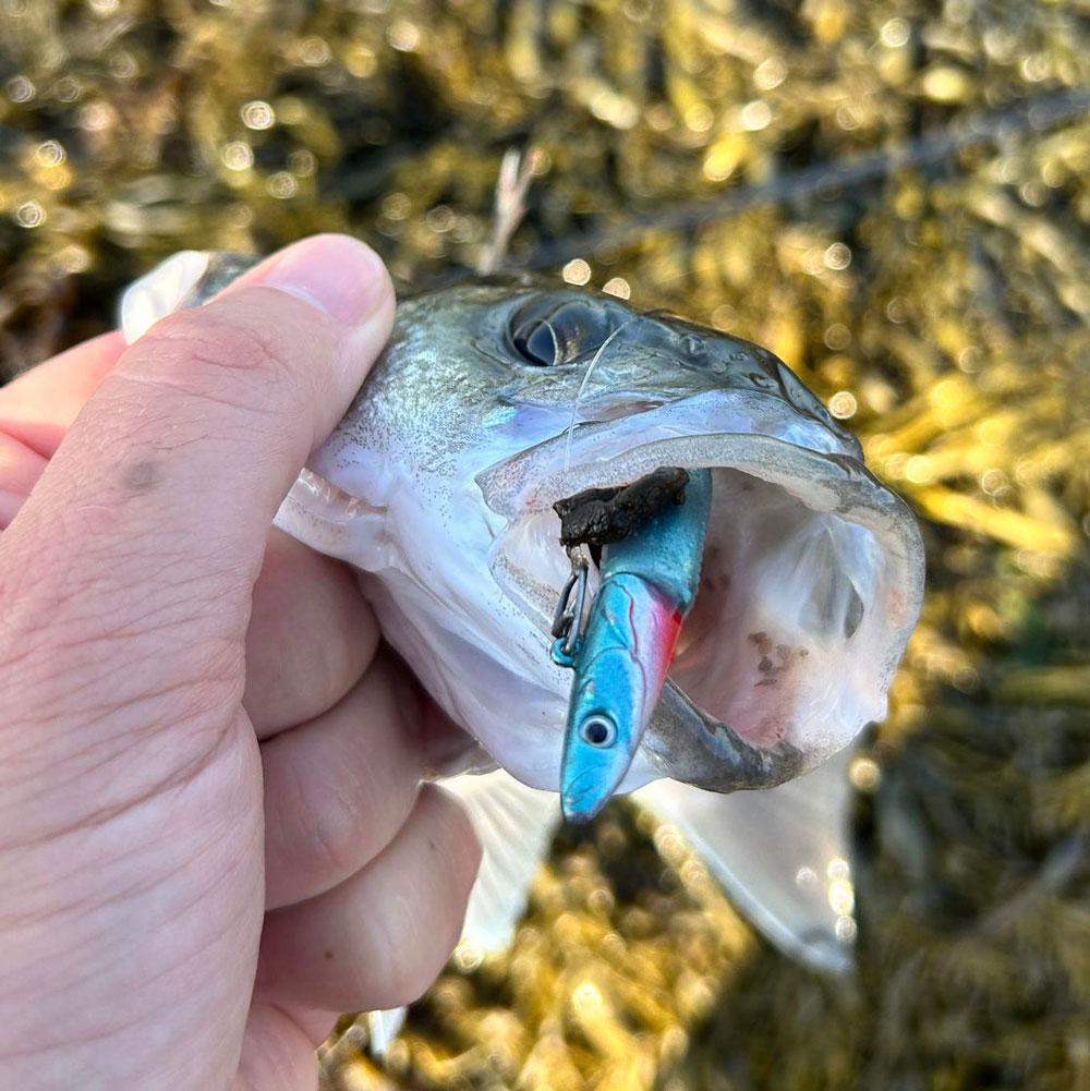 HTO Pathfinder Sandeel Lures 12cm/12g - £2.99