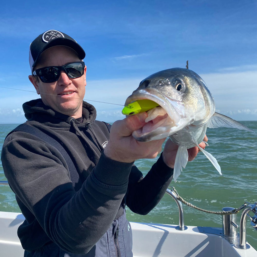 HTO Sad Shads 15cm/60g - £5.99