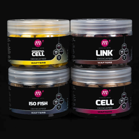 Mainline Dedicated Wafters - £4.99