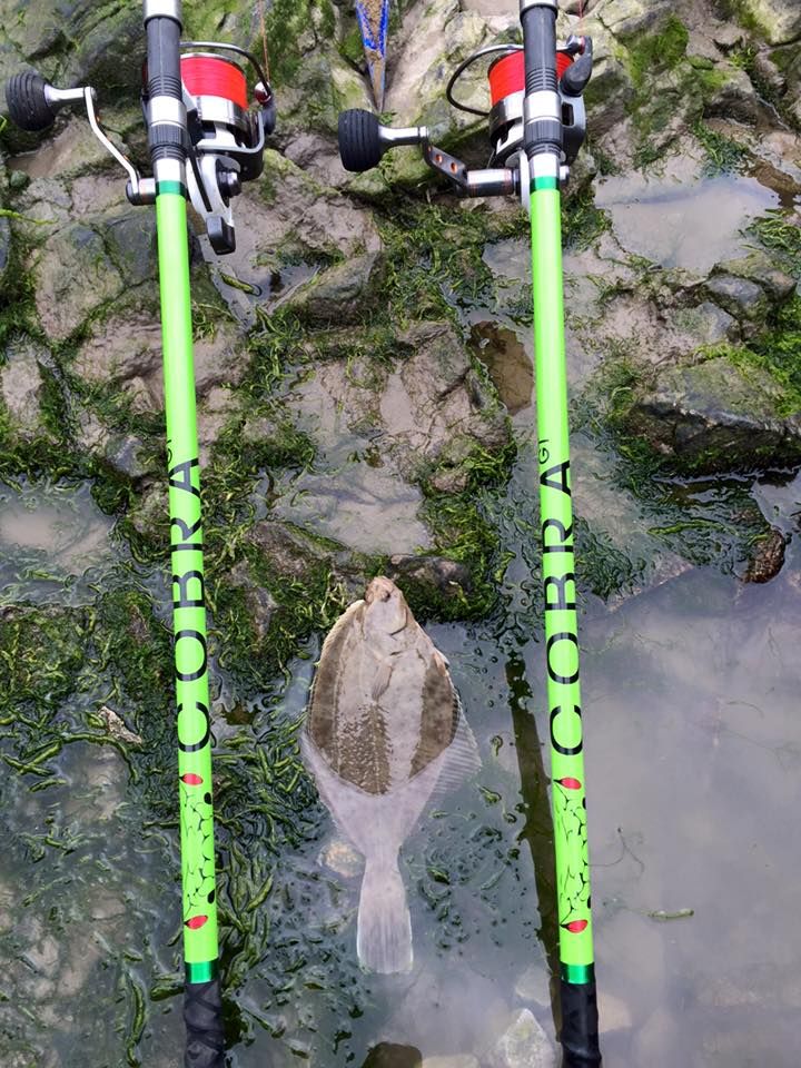 Tronix Pro Cobra GT Beach 14ft - £249.99