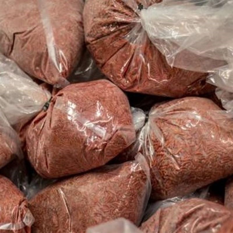 Frozen Dead Maggots - £3.99