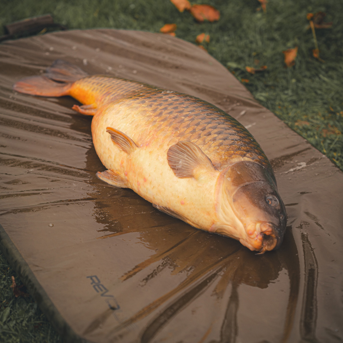 Avid Carp Revolve Folding Flat Mat - £39.99