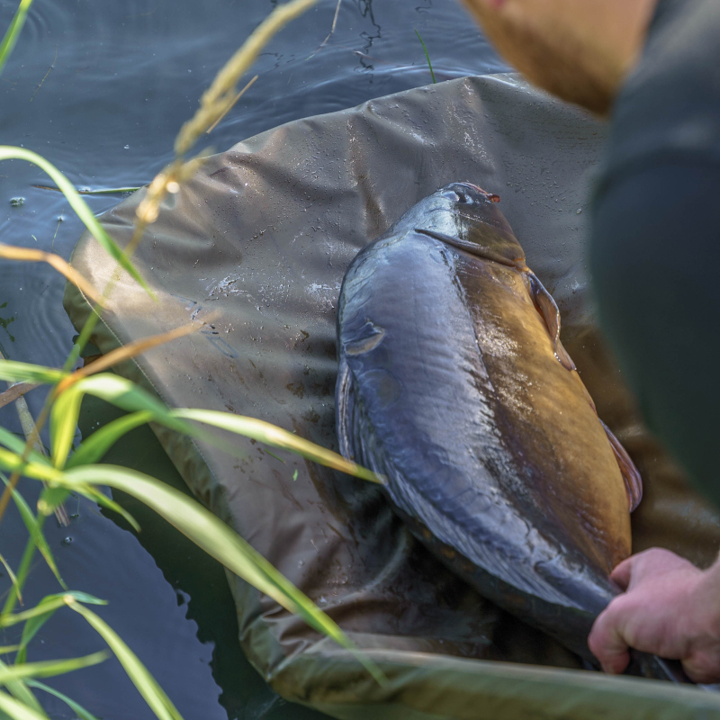 Avid Carp Revolve Folding Flat Mat - £39.99