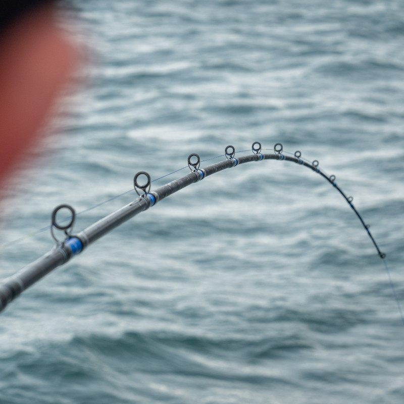 Daiwa Saltist Boat Rods - £164.99