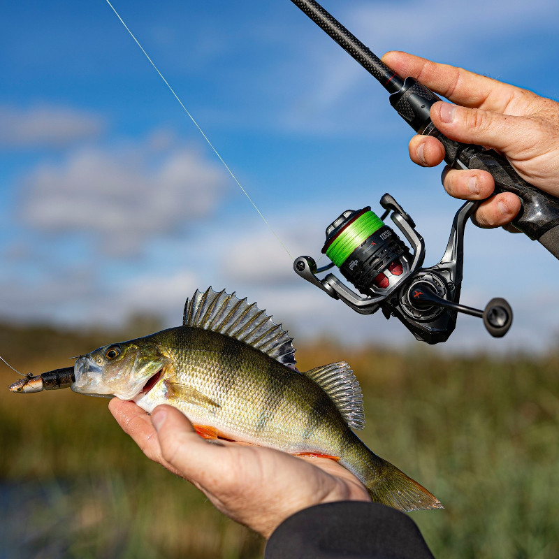 Fox Rage Prism X Reels - £71.99
