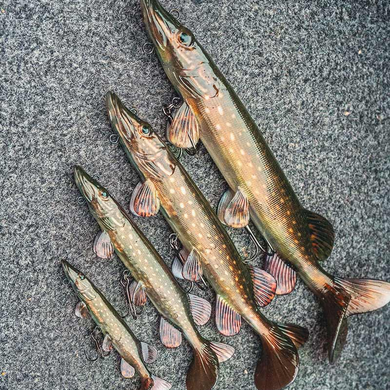 Fox Rage Ultra-Realistic Replicant Pike - £7.99