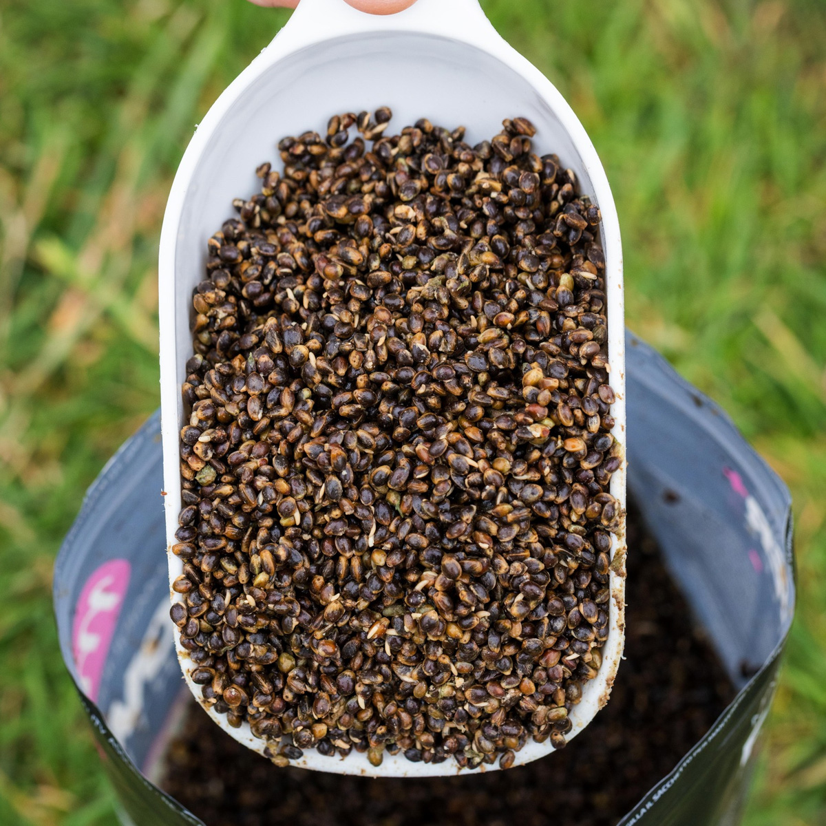 Mainline Power+ Hemp Mix 2kg - £11.99