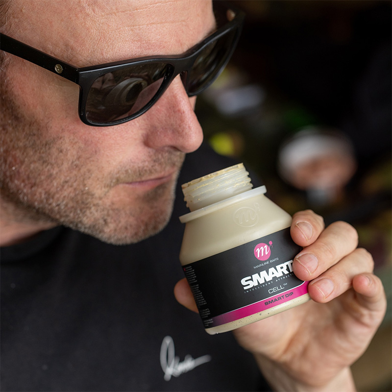 Mainline Smart Dips 250ml - £7.99