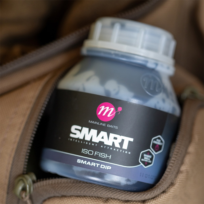 Mainline Smart Dips 250ml - £7.99