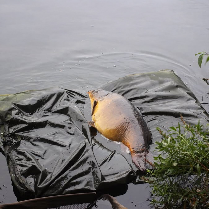 Thinking Anglers Unhooking Mat - £99.99