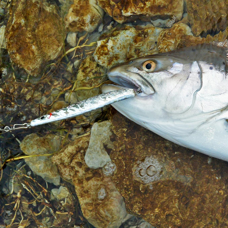 Westin Salty Lures - £6.49