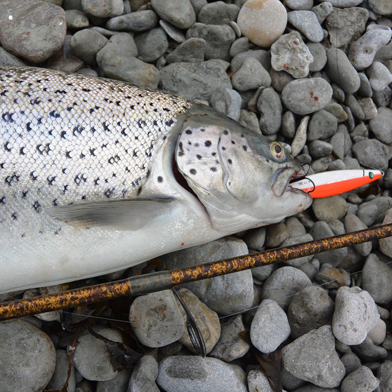 Westin Salty Lures - £6.49