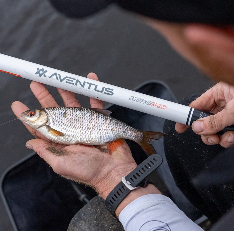 Guru Aventus Zero 600 Tele Whips - £64.99