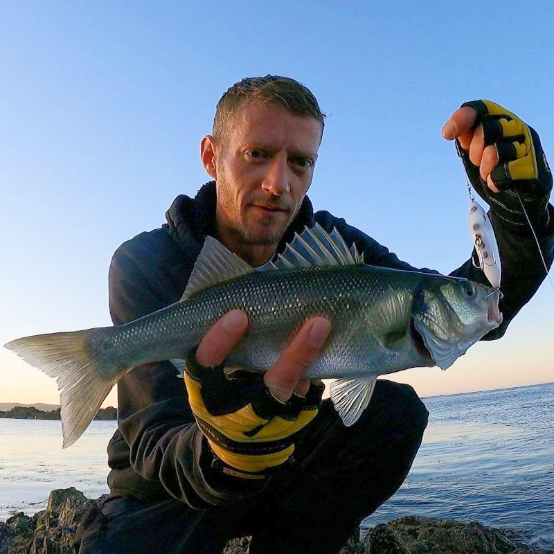 Samson Shad Lures - £20.99