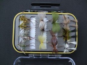 Turrall Fly Pod - Mayflies - £26.99