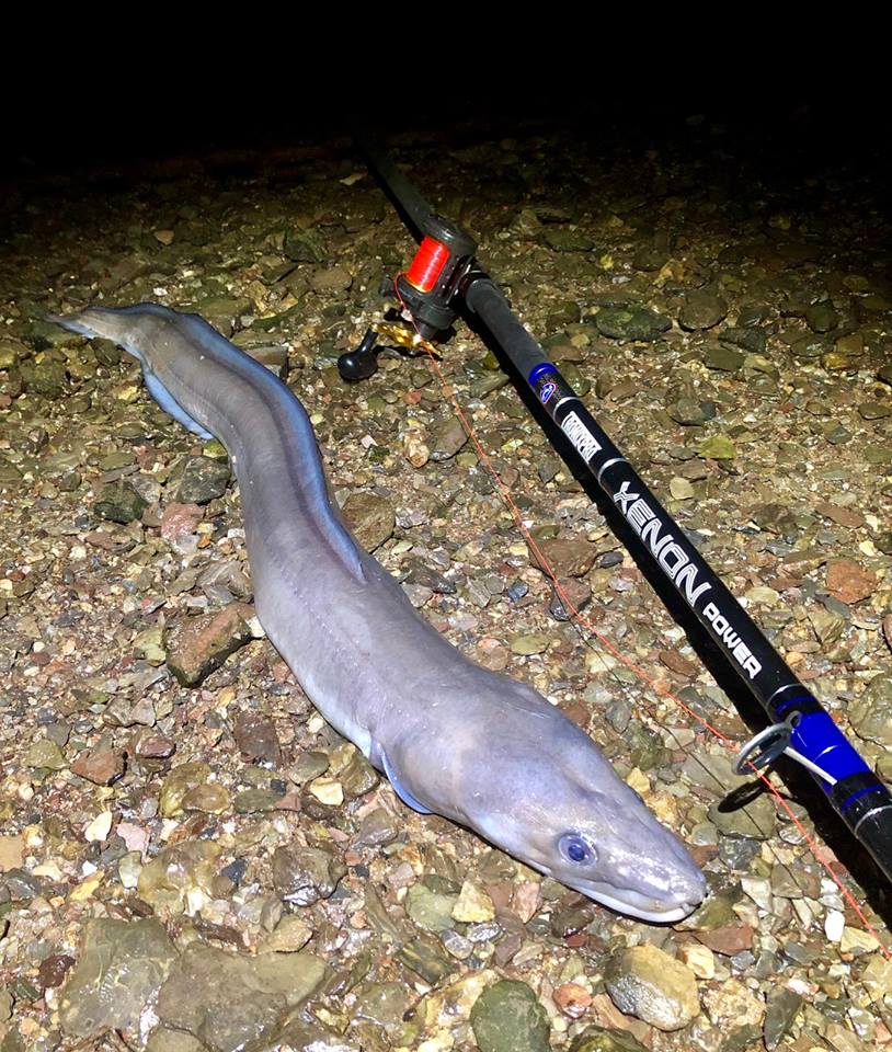 TronixPro Xenon Power Rod 13.8ft 5-8oz - £164.99