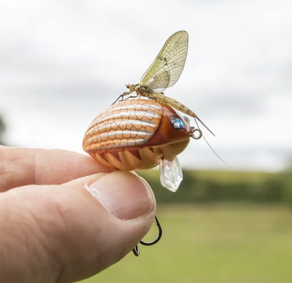 Salmo Lil' Bugs - £5.99