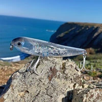 Waylander Wayward 120LF 12cm/30g - £18.99