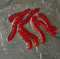 Enterprise Imitation Pop Up Bloodworm - £1.80