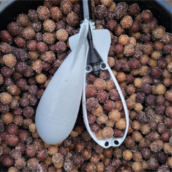 Spods & Spombs | Tackleuk