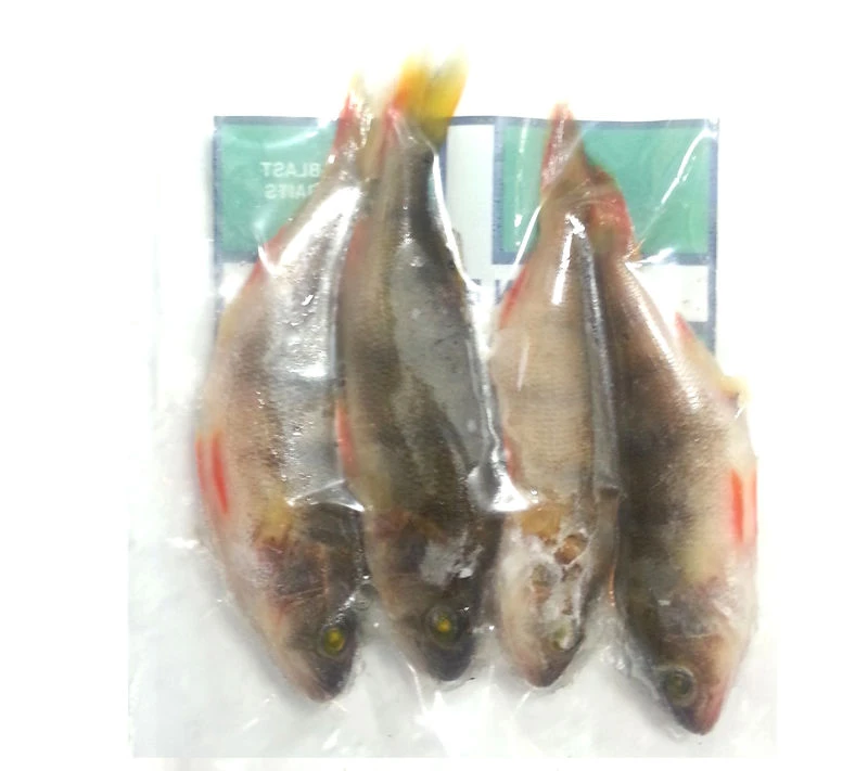 Devon Baits Frozen Perch - £5.59