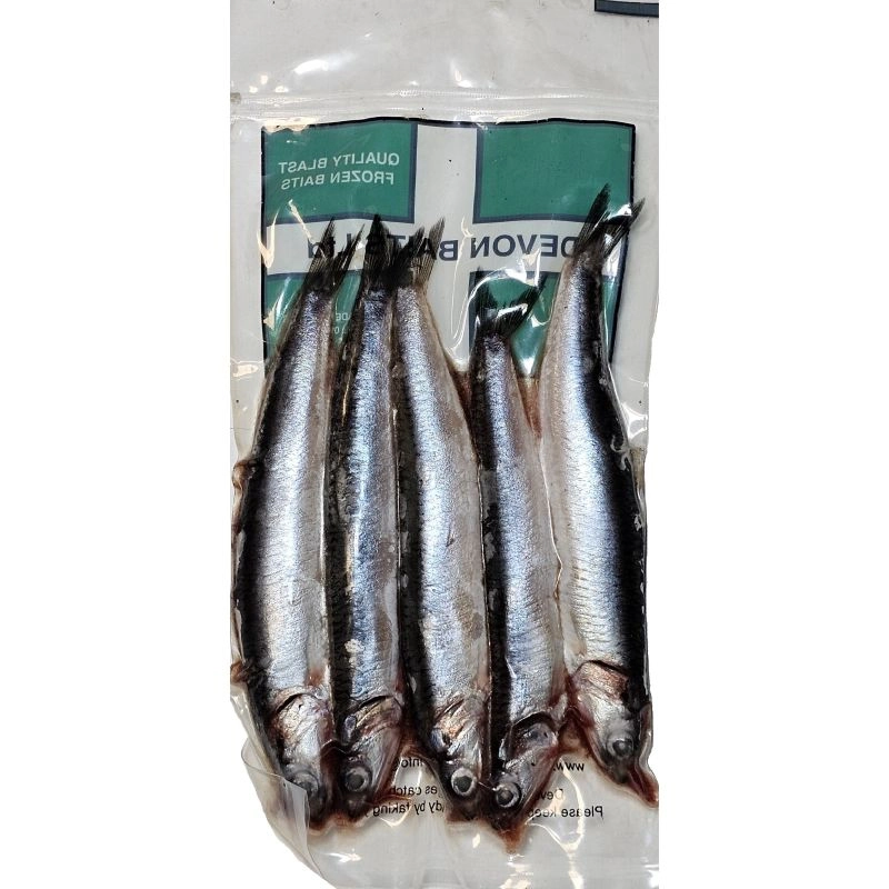 Devon Baits Frozen Anchovy - £4.49