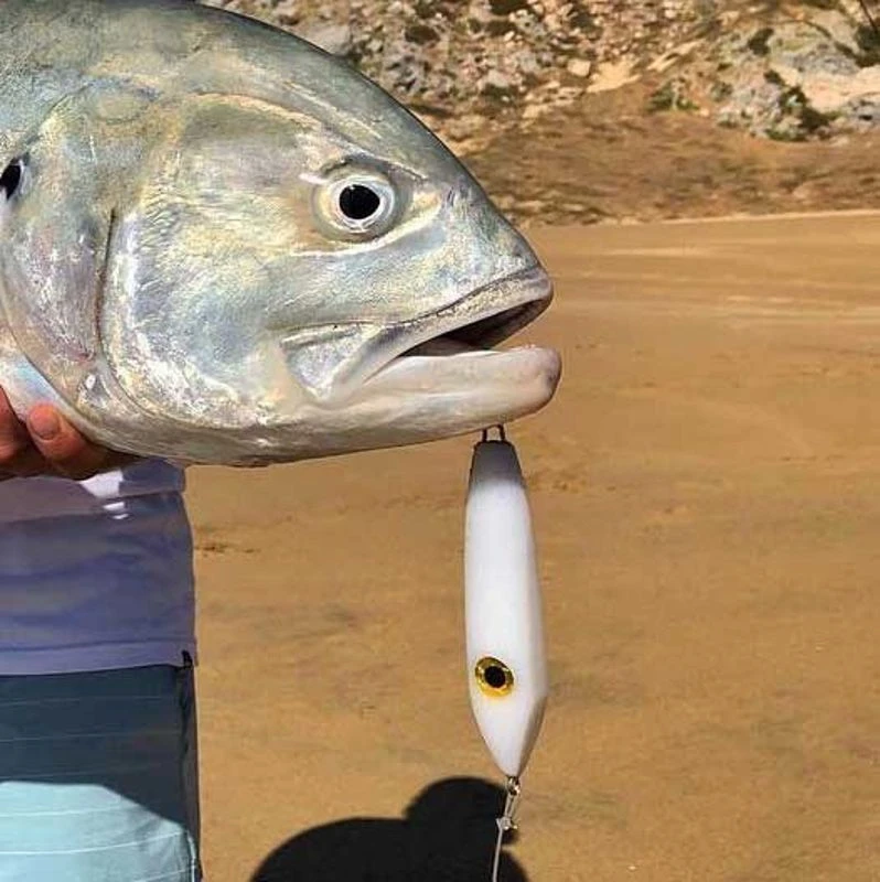 Samson Lures Fat Minnow 30g - £8.99