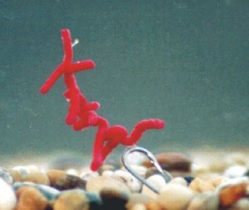 Enterprise Artificial Bloodworms - £2.29