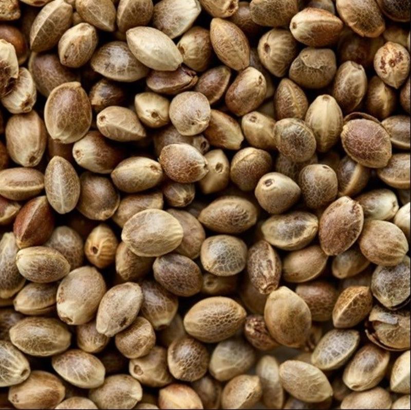 Huge Hempseed 700g - £6.49