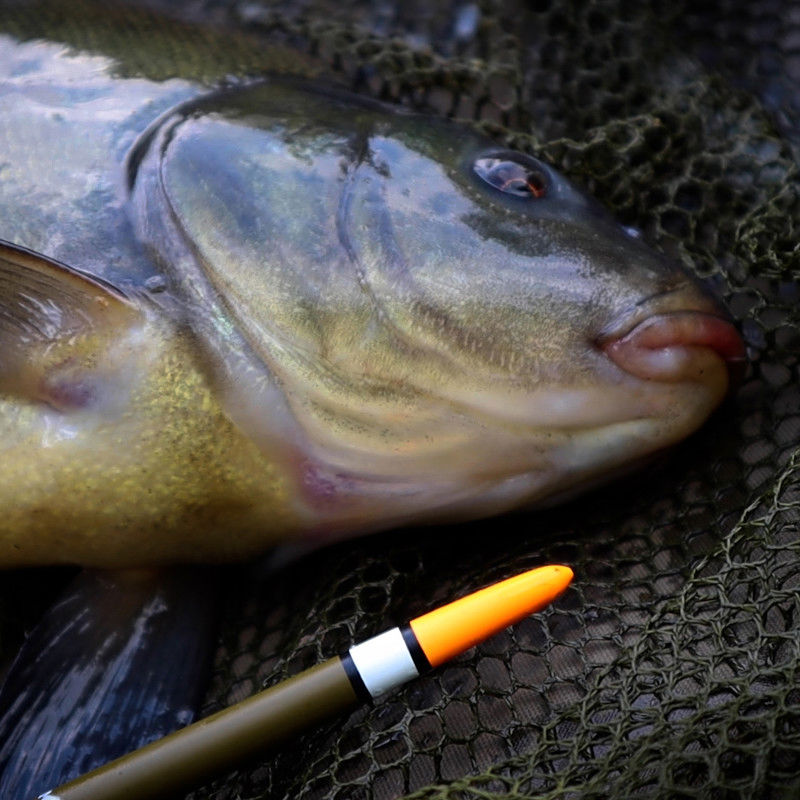 Korum Pro Quill Floats - £1.29