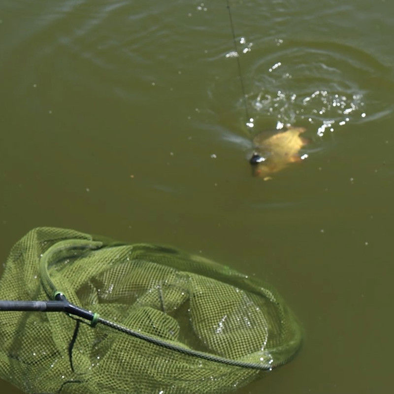 Gardner Folding Pan Nets - £22.99